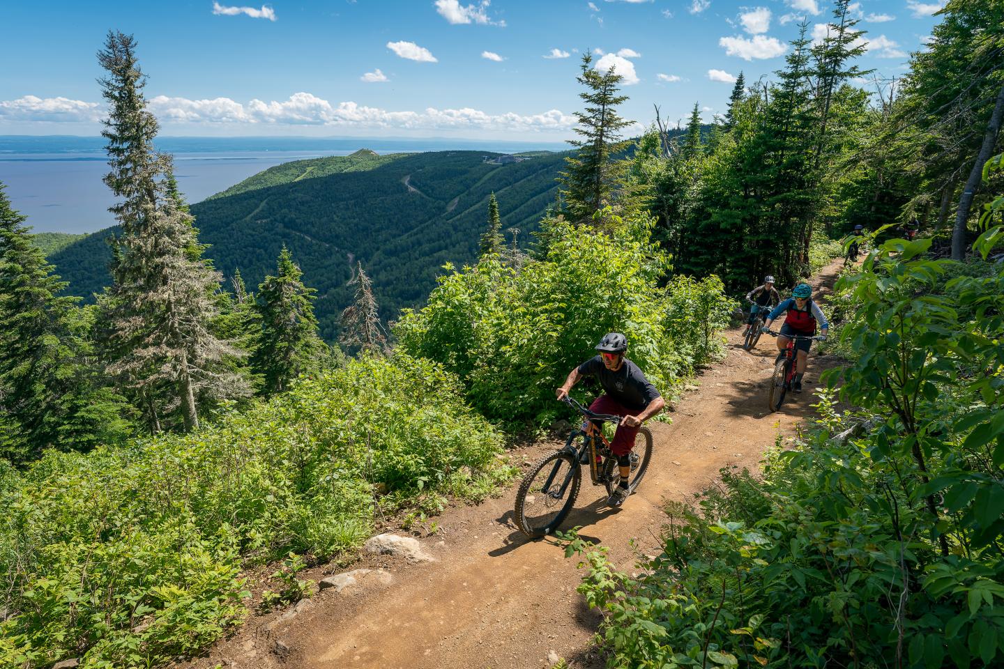 Follow the Guide: Mountain Biking Trails at Le Massif! | Le Massif